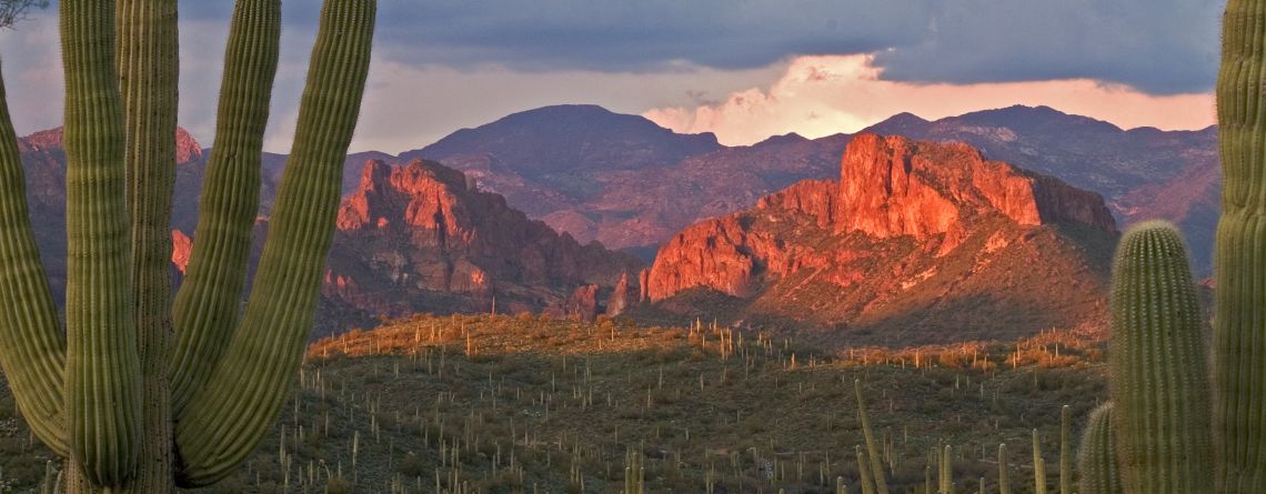 About Imes Insurance Associates - Mesa, AZ